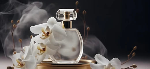 Blog 2 – Qasmi Sales